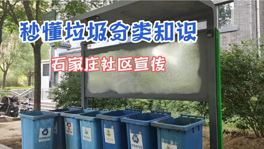 不同颜色的垃圾桶该怎么投放呢,值得收藏的垃圾分类小知识。