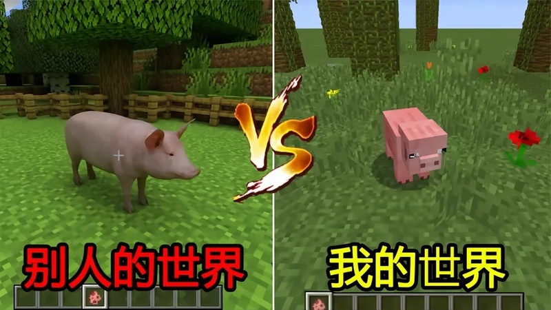 我的世界:别人的世界VS我的世界!别人的猪,这么真实!
