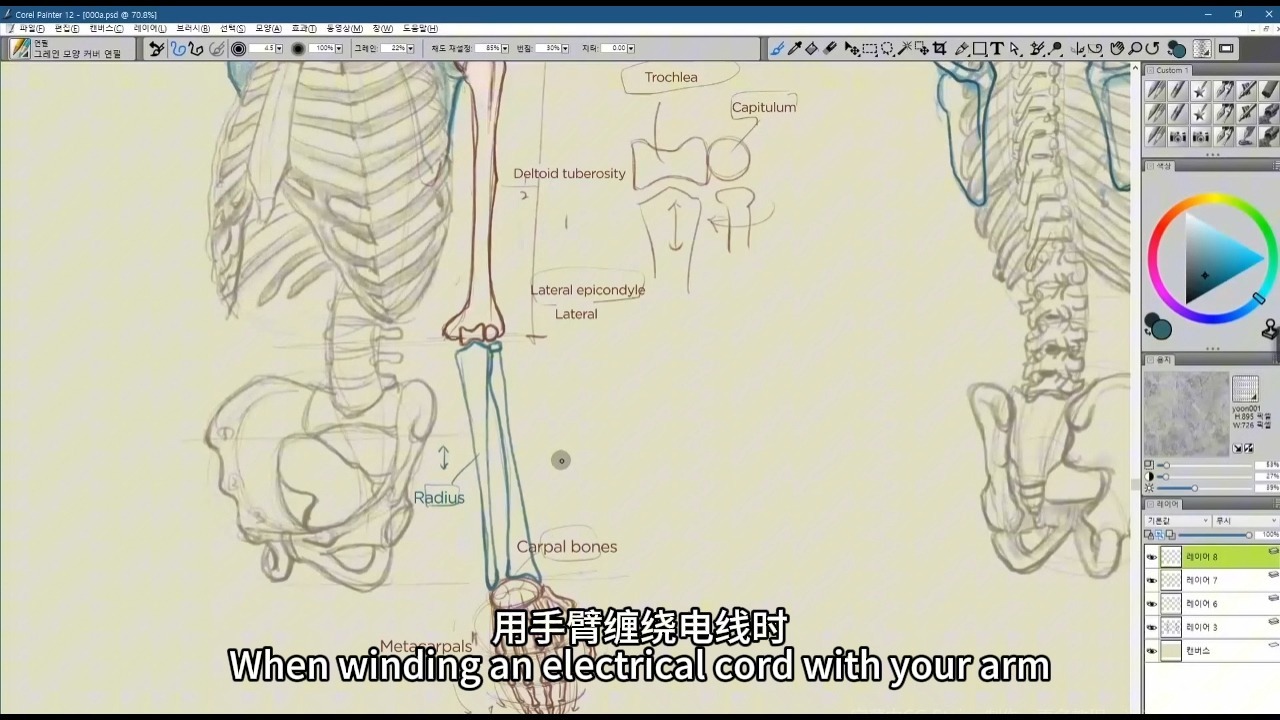 ...专注解剖学研究 《艺用解剖学笔记》作者·石政贤老师 ﻿#超时空速写