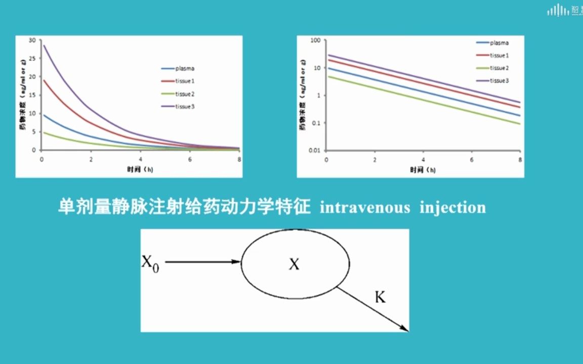 一房室模型静脉给药的药代动力学特