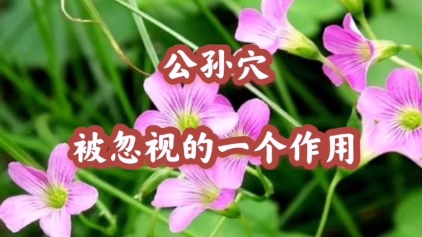 公孙穴被忽视的一个作用