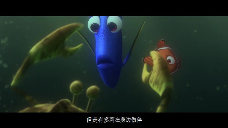 迪士尼动画《海底总动员》的长相美丽,学名你肯定不知道!
