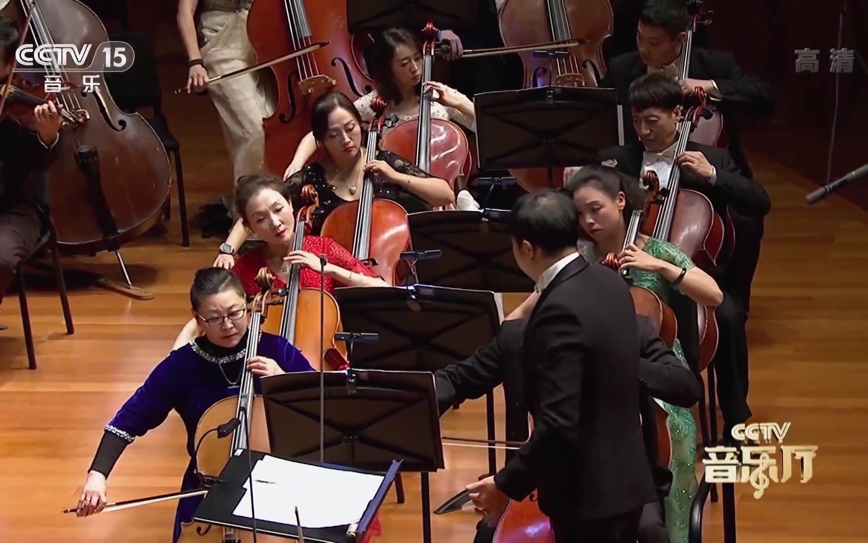 银幕新乐章·中国电影乐团音乐会|江湖儿女\一次就好\山河故人\一生...