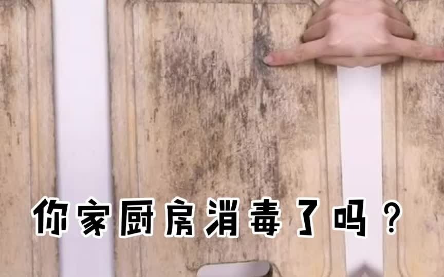 来看看你家厨房细菌有多少?