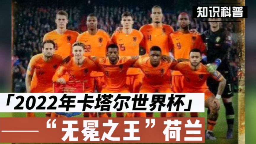 2022年卡塔尔世界杯32强荷兰队