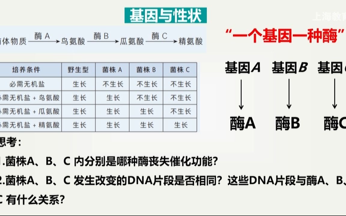 ...高一年级-第二学期-第6单元-遗传信息通过复制和表达进行传递②-W