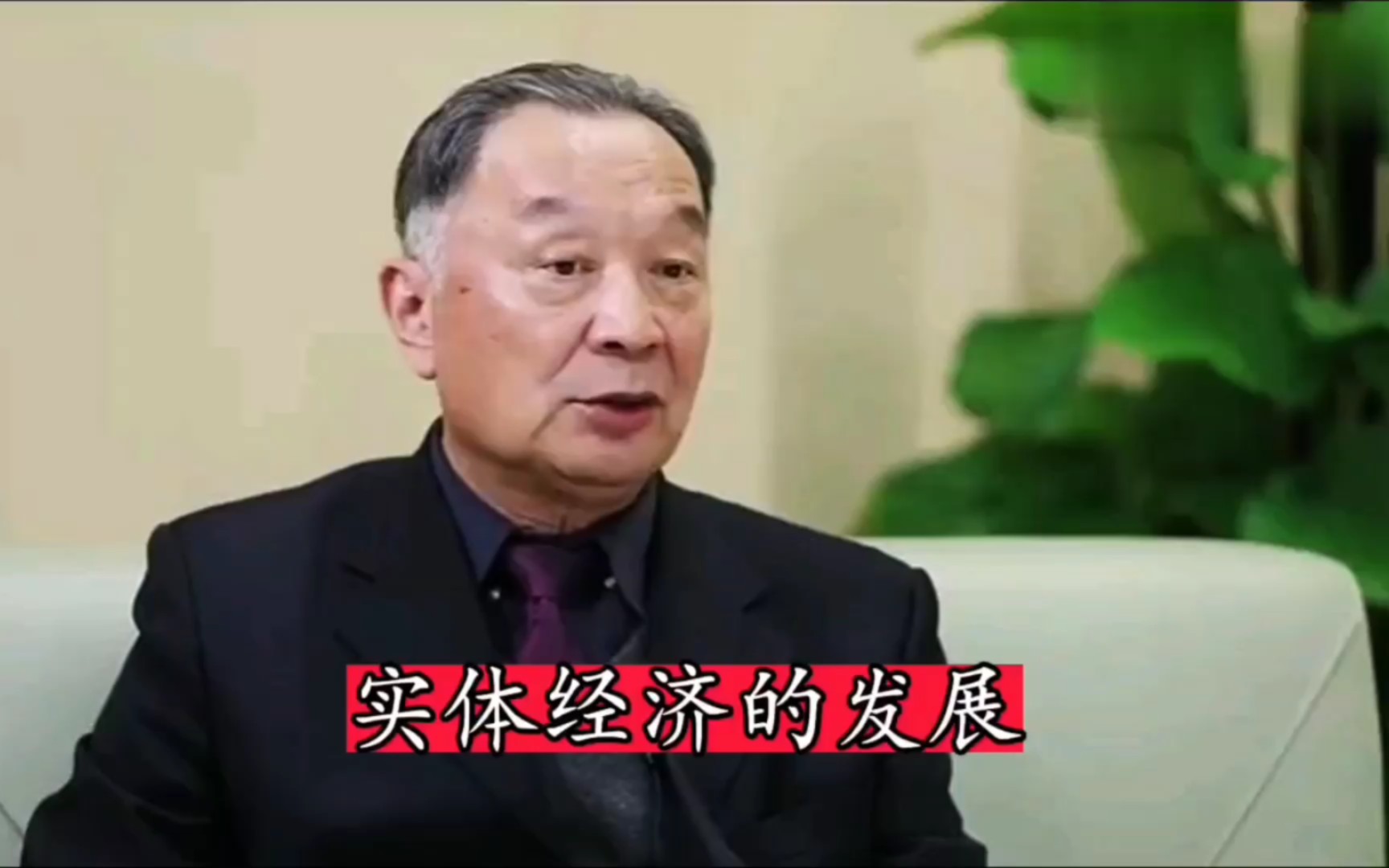 温铁军教授:实体经济的发展