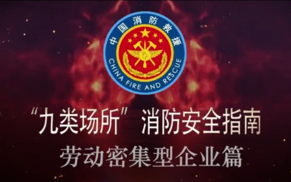 28.九类场所消防安全指南-劳动密集型企业篇