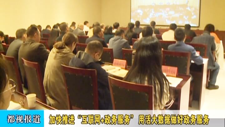 加快推进“互联网+政务服务”用活大数据做好政务服务