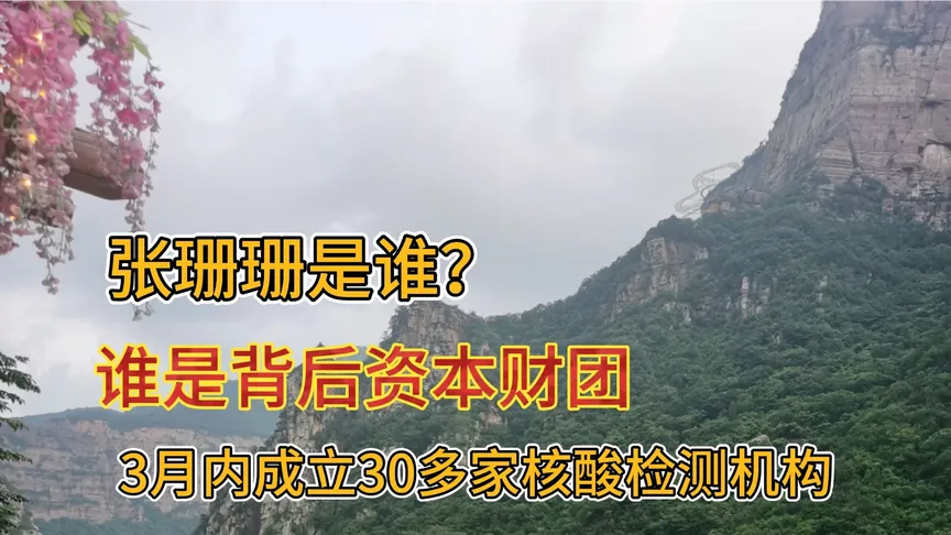 张珊珊是谁?3月内成立30多家核酸检测机构