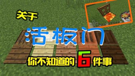 我的世界: 活板门你不知道的6件事: 没有活板门不能挡的东西!