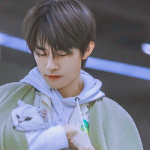 一只叫十二的猫 