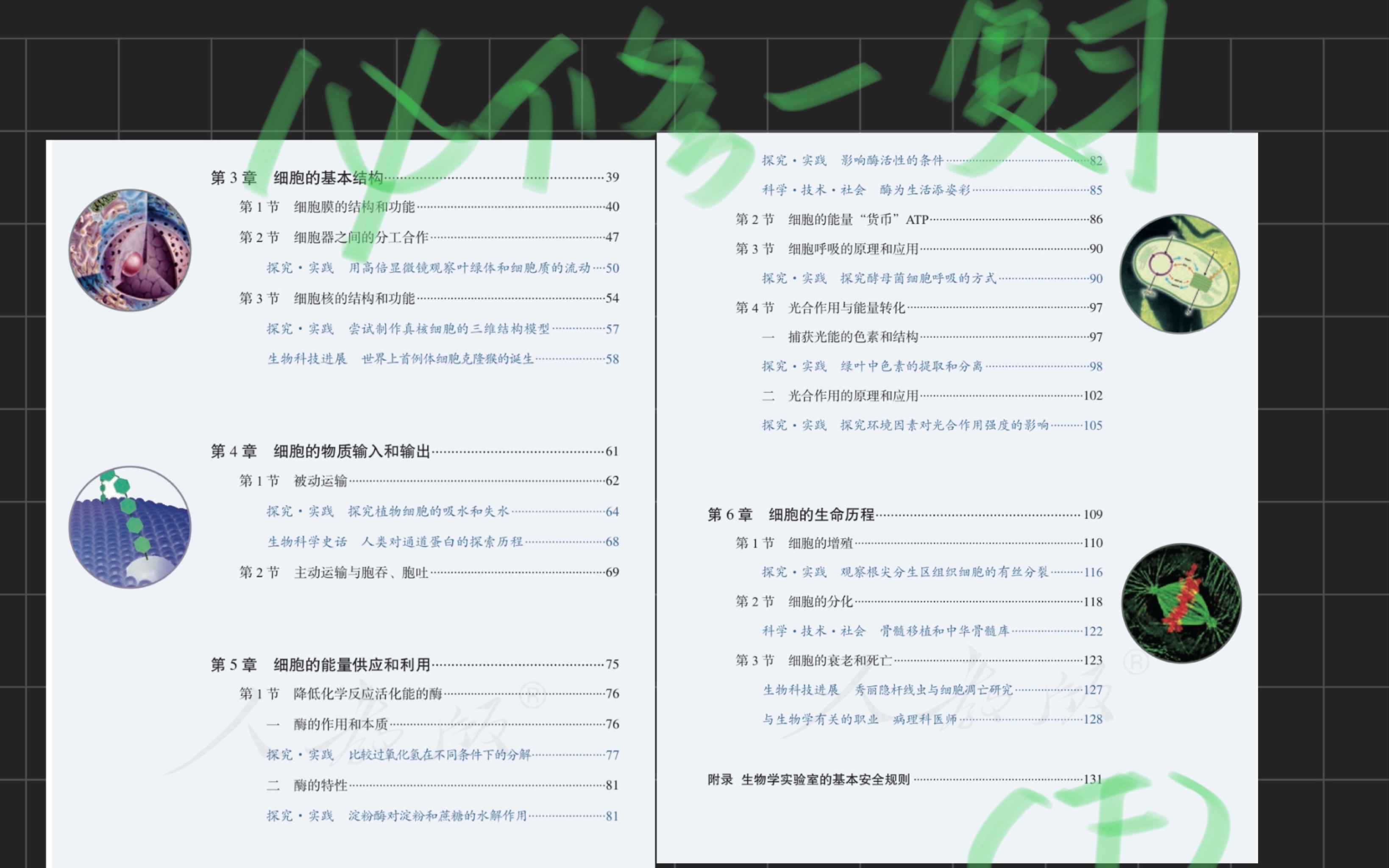 17分钟复习高中生物必修一(下)