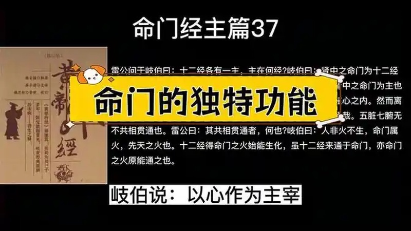 命门为何能主十二经