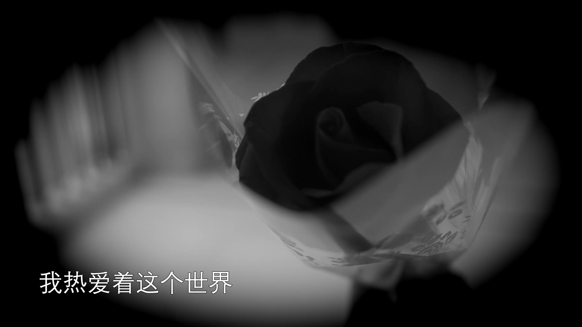 器官捐献系列公益广告