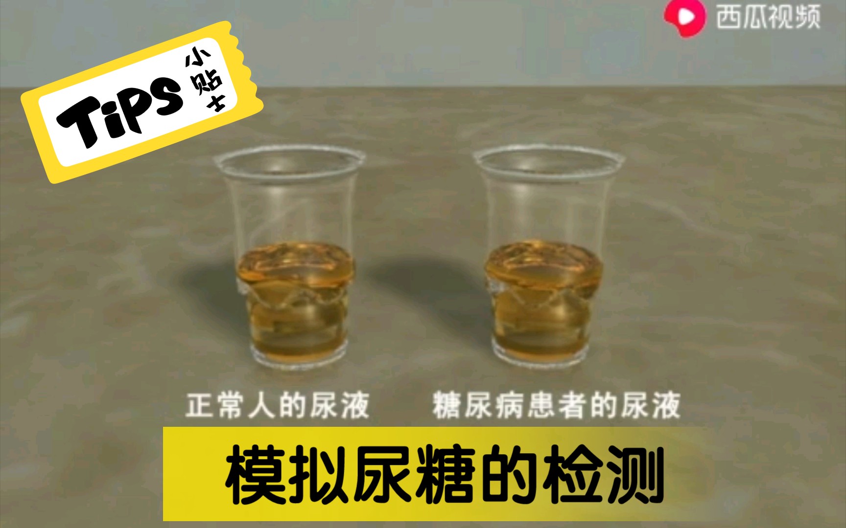 1.143 高中生物必修三实验 16.模拟尿糖的检测