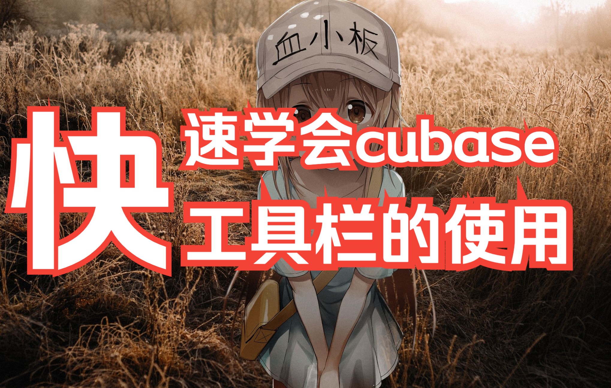 快速学会Cubase8工具栏的使用