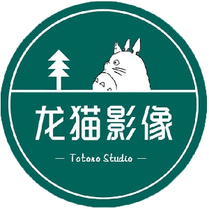 天灰龙猫 