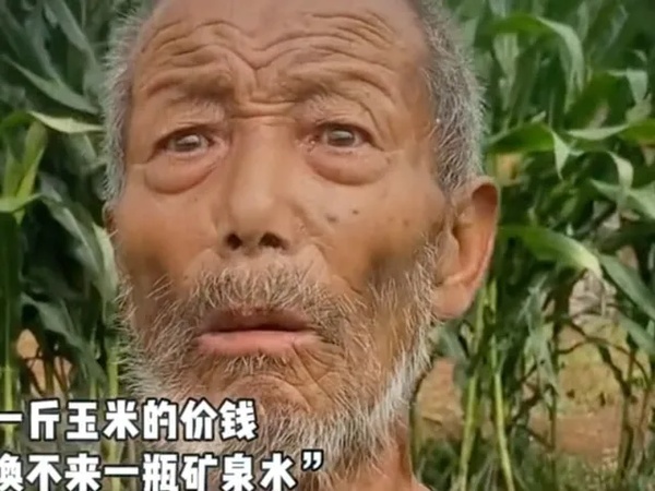 农民伯伯的辛苦与心酸,如果种地赚钱农民还有地种吗!