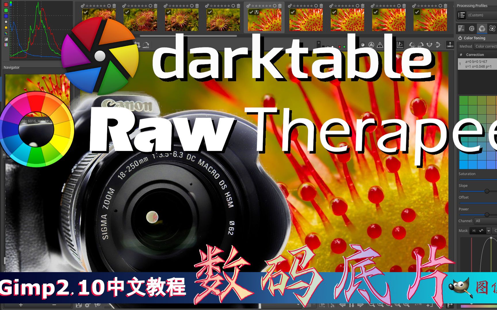 Gimp里打开与编辑RAW 数字底片:Darktable, RawTherapee