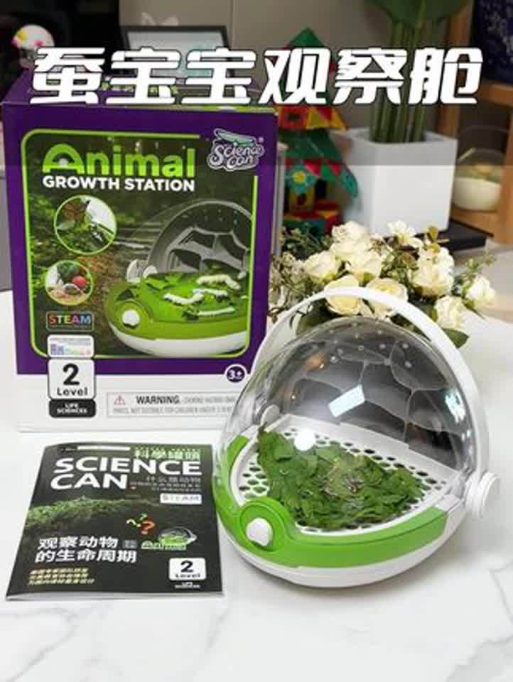 ...孩子饲养蚕宝宝吧,观察蚕宝宝的成长全过程,感受生命的神奇养蚕日记