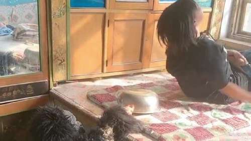 胆小勿入!真实灵异事件,吓到腿软你敢看吗?