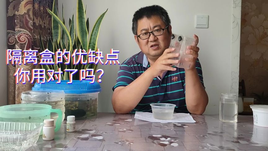 隔离盒你用对了吗?余月分享各种奇葩隔离盒的优缺点,总有适合的
