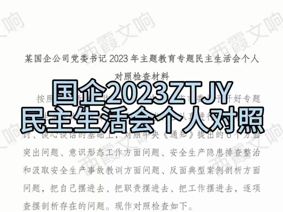 某国企公司党委书记2023年主题教育专题民主生活会个人对照检查材料