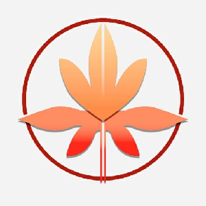 极客红叶会-geekbrh 
