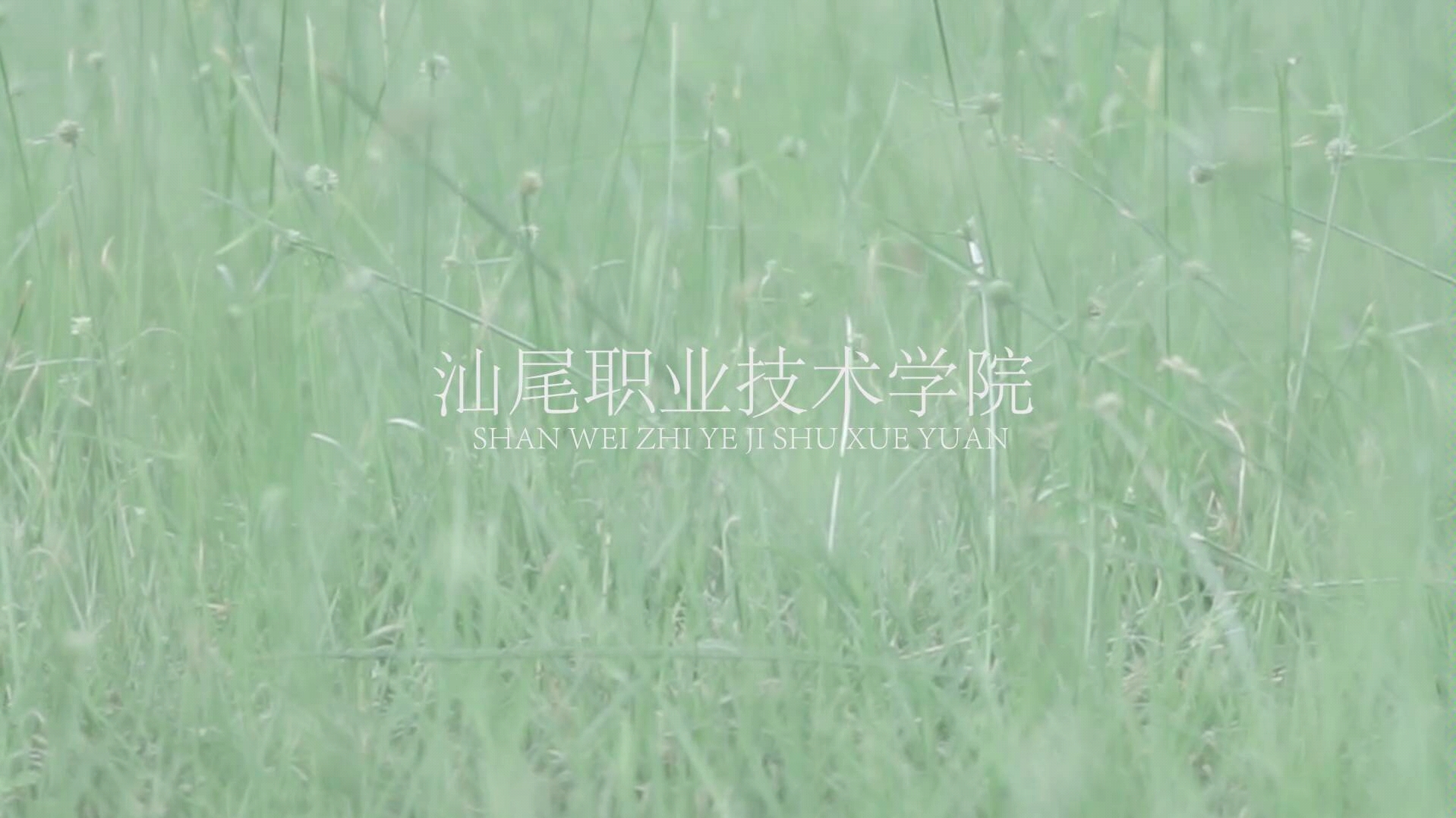 汕尾职业技术学院院学生会媒体信息中心宣传片