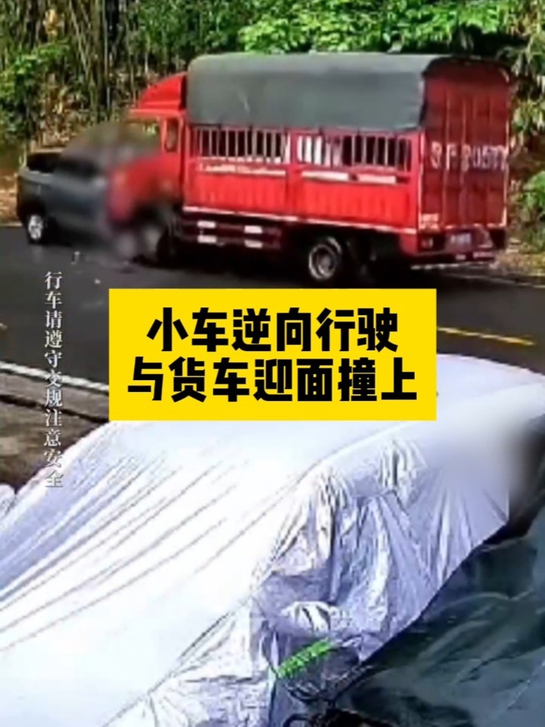 #小车逆行结结实实撞上货车货车司机未受伤小车驾驶员情况暂不明
