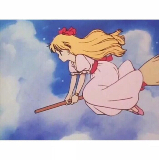 一只团团团团子呀 