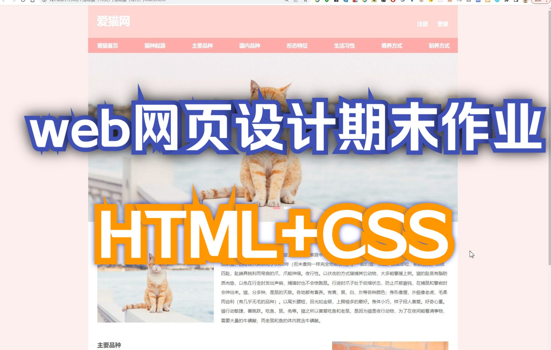 【网页设计期末大作业】HTML+CSS+JS 宠物猫(10页)