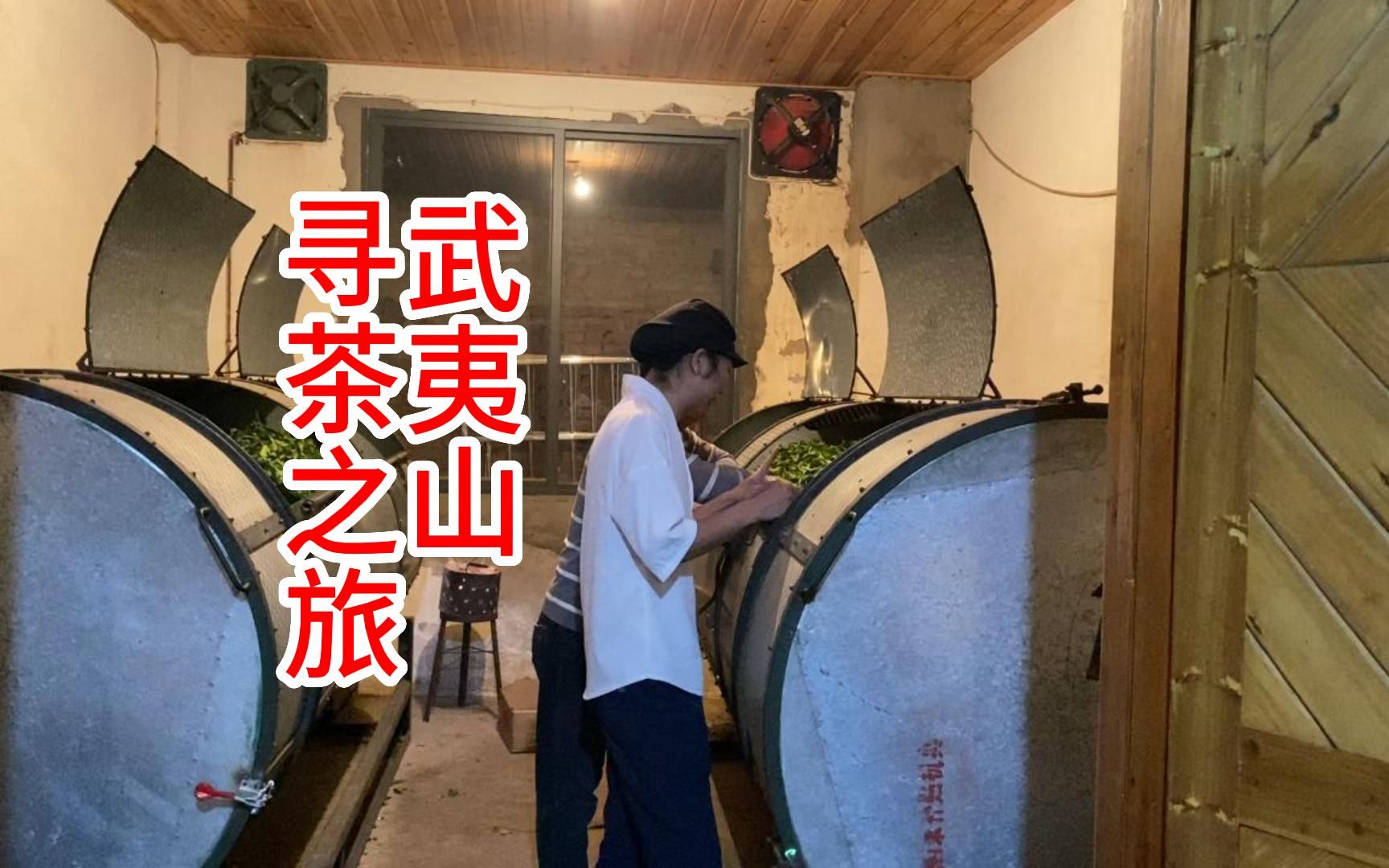 武夷山寻茶之旅第一站,对岩茶制作的初步了解