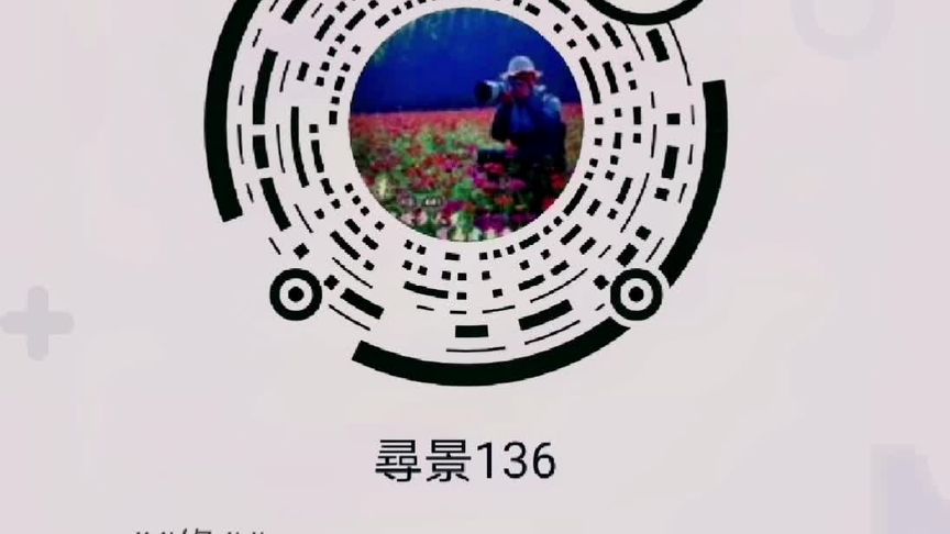 广东粤剑律师事务所党支部开展,我为群众办实事