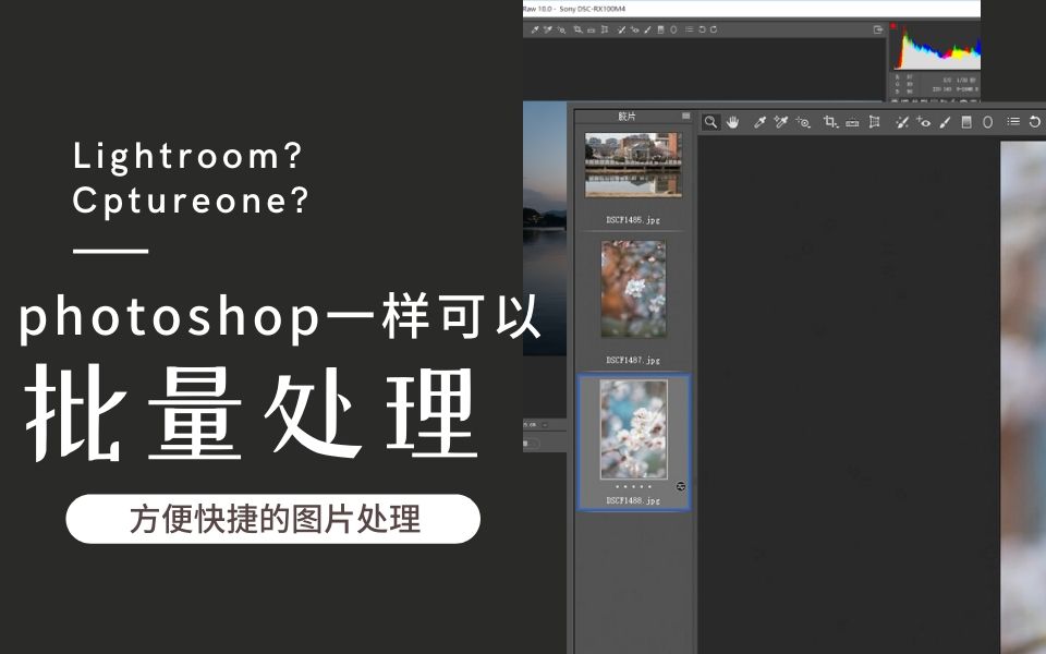 【PS】Camera Raw批量处理图片