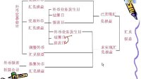 外币会计07 06外币会计报表的折算(四)