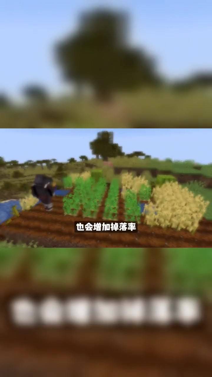 我的世界:一个操作经验翻倍!