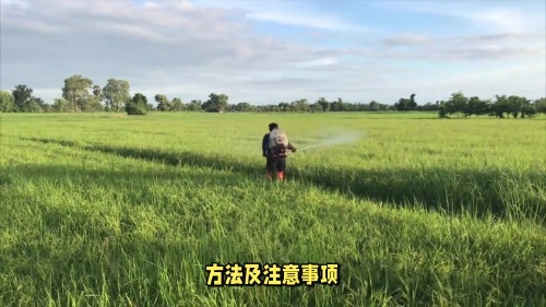 6547. 草甘膦除草剂:正确使用方法与安全注意事项