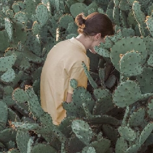 酸奶泡芙甜不腻 