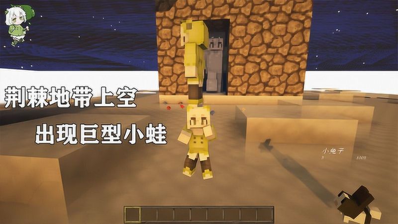 我的世界:荆棘森林和神秘空岛,巨人小蛙见过没有