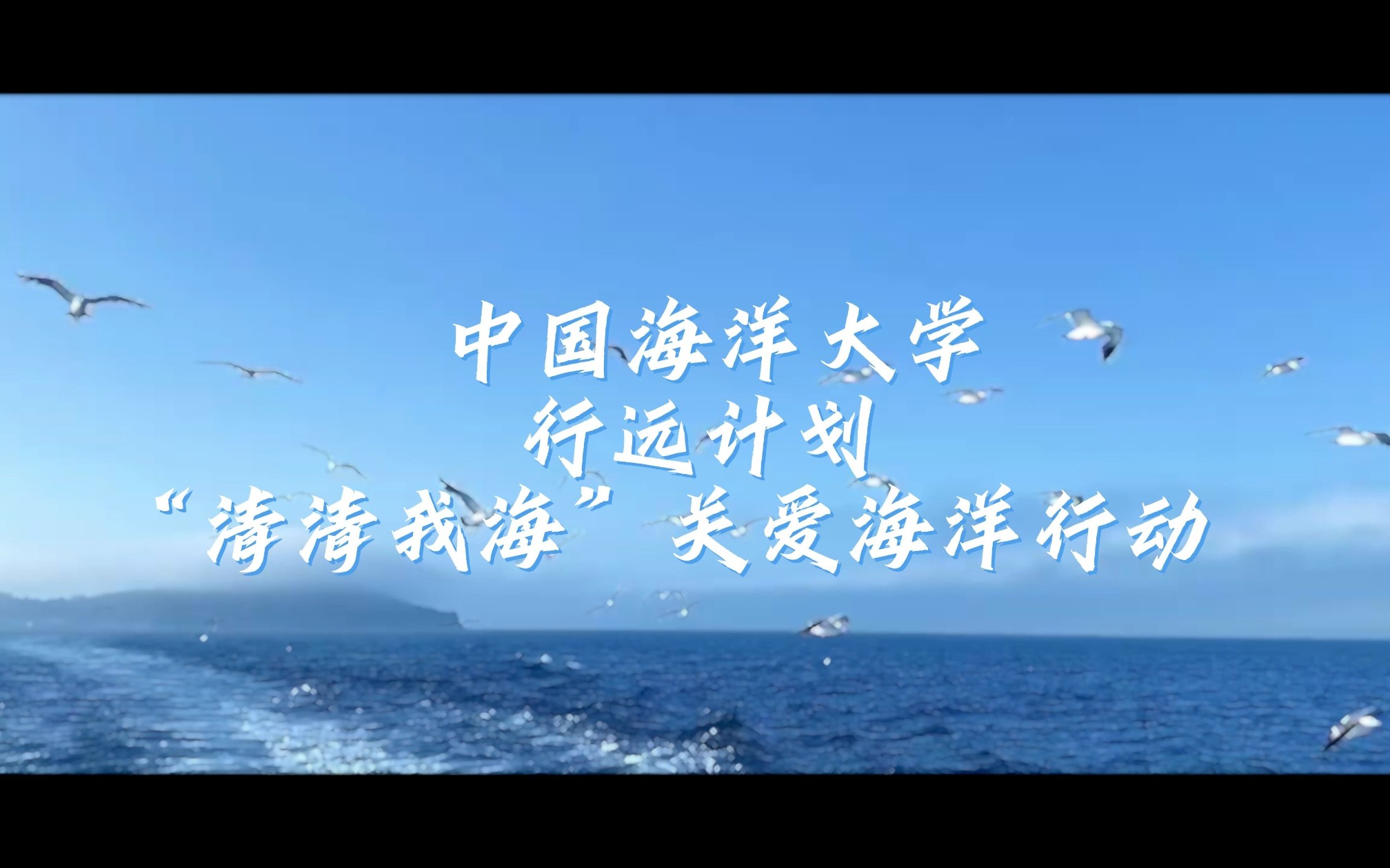 【行远计划】“清清我海”关爱海洋行动丨海洋环境调研实践队宣传视频