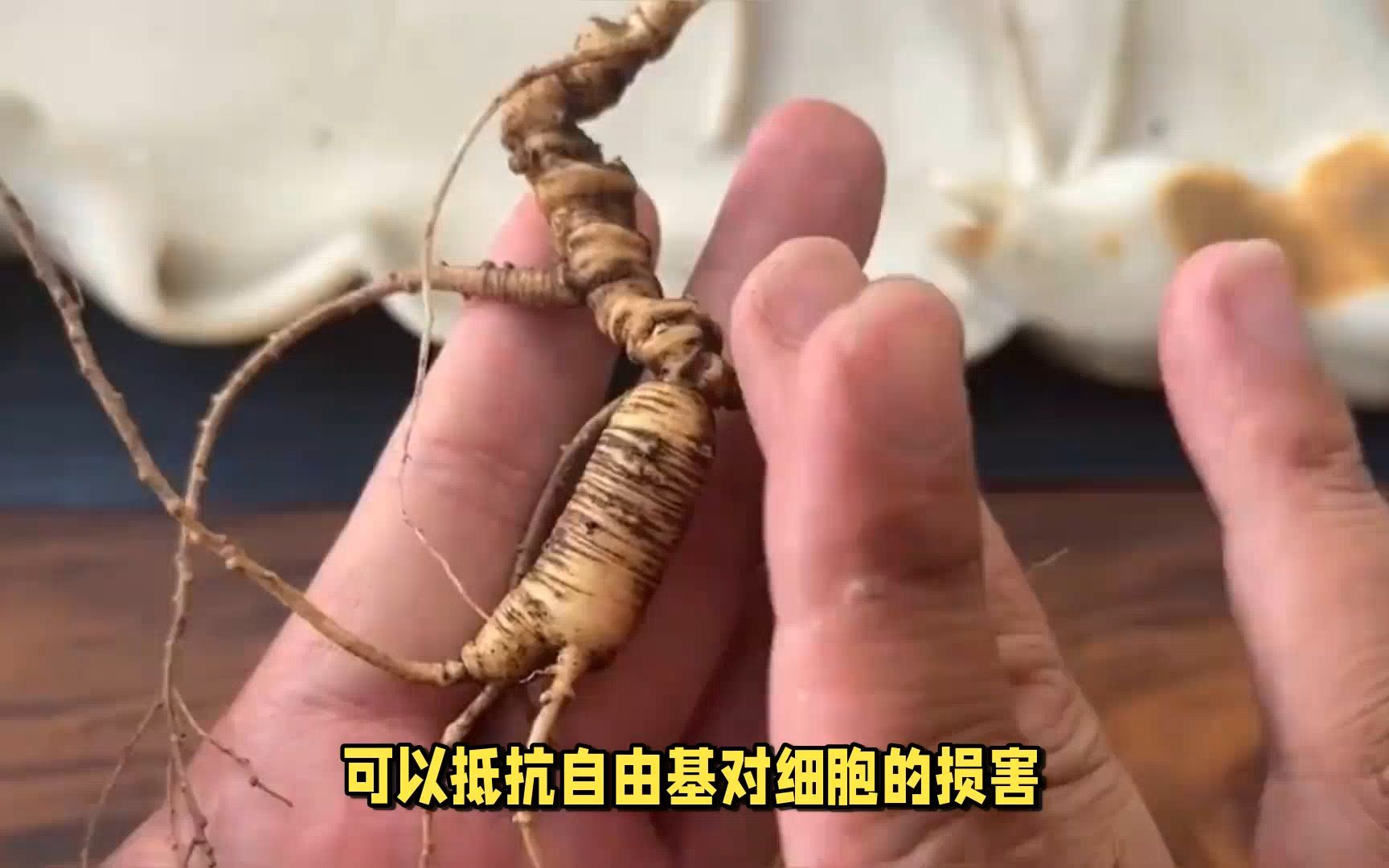 人参的功效与作用