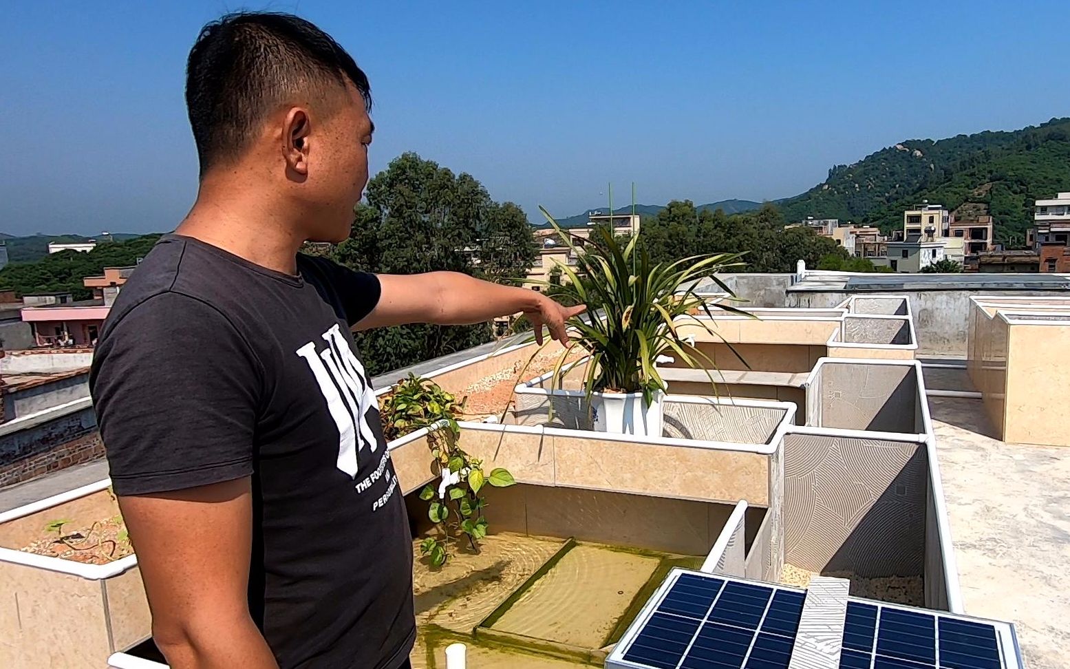 兄弟家新建了几个乌龟池,老林到现场分享龟池建造方法