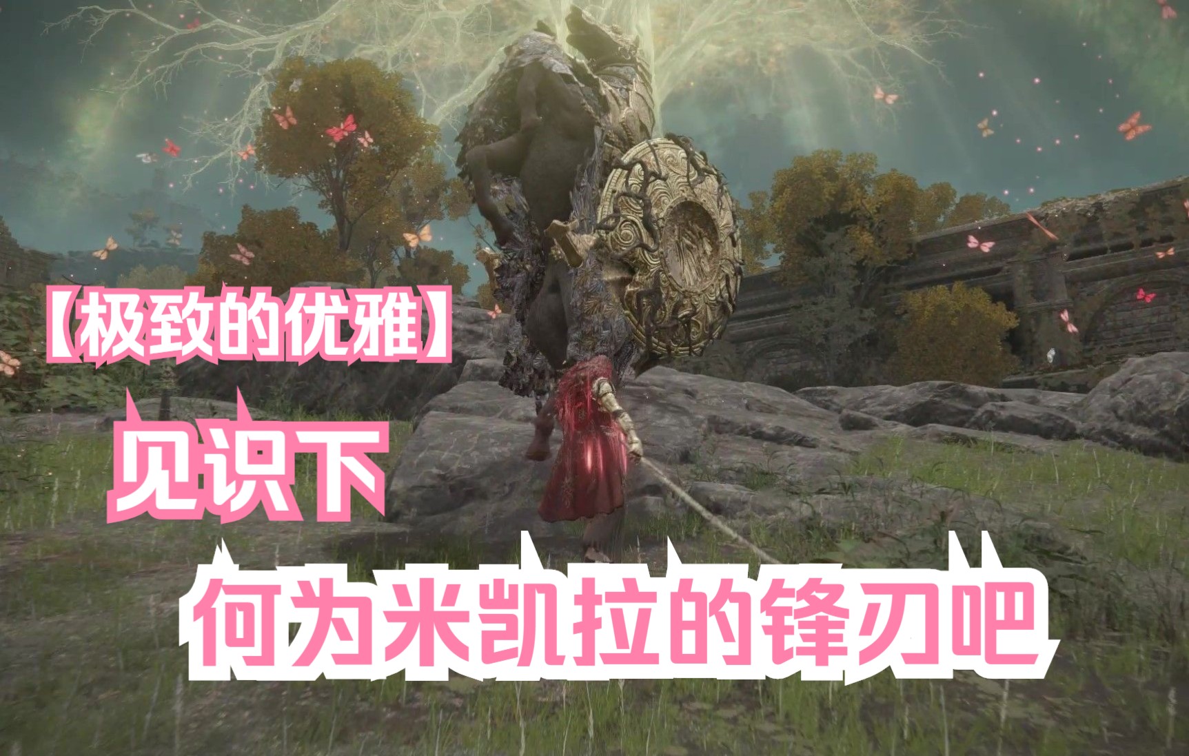 【艾尔登法环】极致的优雅,见识下何为米凯拉的锋刃吧!大树守卫!(女...