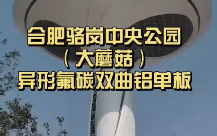 ...异形氟碳双曲铝单板 钢结构廊架 铝单板激光扫描三维数据建模价格 ...