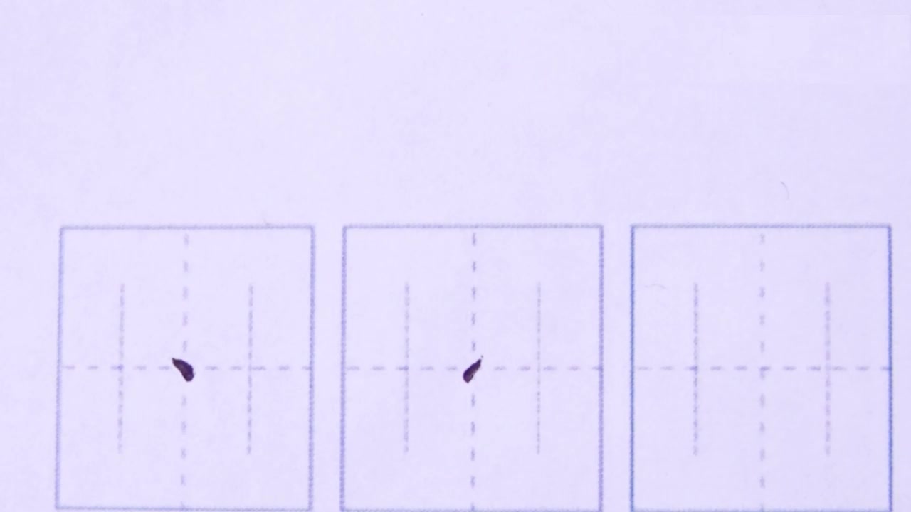 新手书法点横竖练习,初步入门实用书法技巧学习