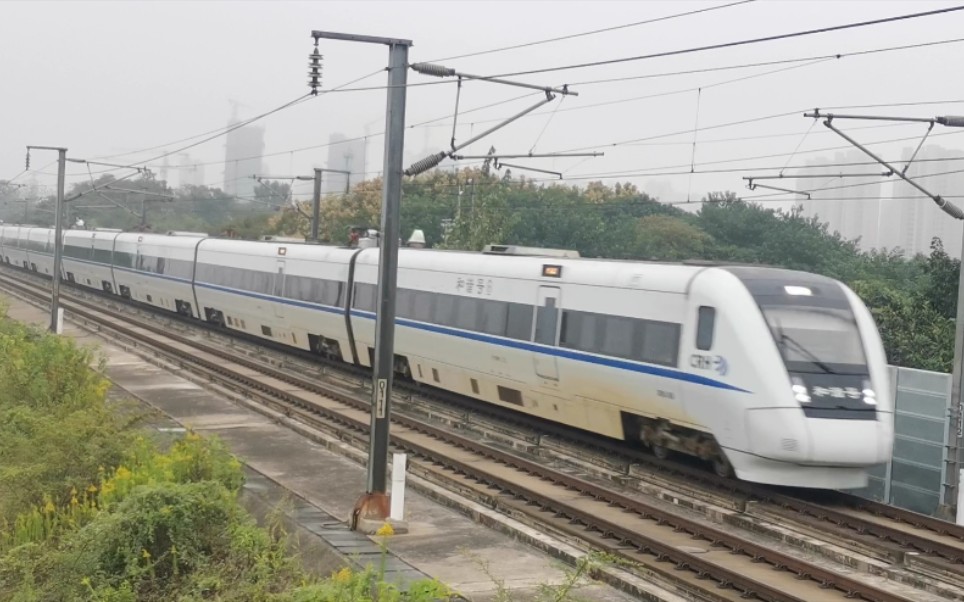 D3056次(上海虹桥-重庆北),大地铁担当!
