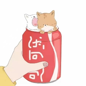 易拉罐里的灰猫 