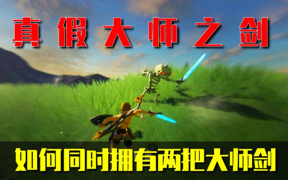 [塞尔达传说]如何同时拥有两把大师剑!?